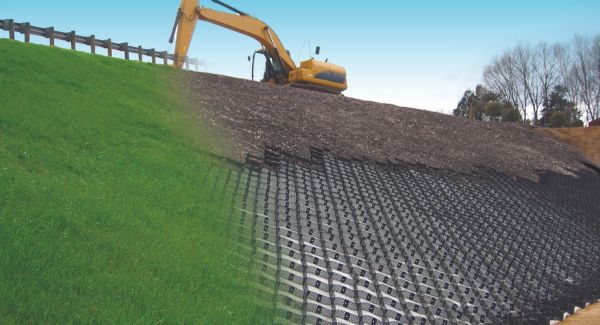 Back Office - Environmental Expert